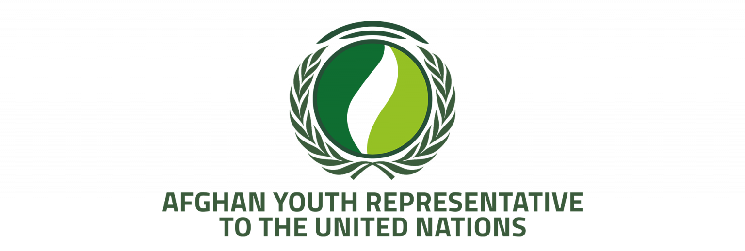 Afghan Youth Representative to the United Nations 2020 (Fully-funded to ...
