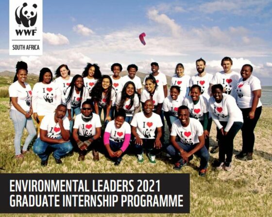 WWF South Africa Environmental Leaders 2021 Graduate Internship ...