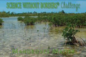 Science Without Borders Challenge 2021 for Students worldwide (Win Cash ...