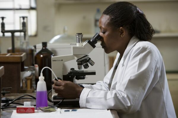 AWARD Leadership Program for Emerging African Women in Science 2021 ...