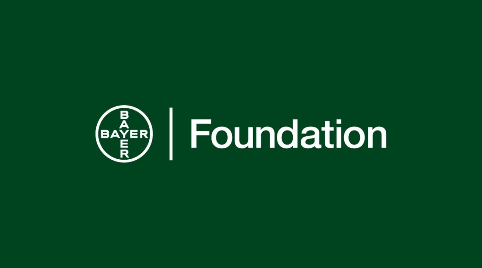 Bayer Foundation Fellowships 2024 for Masters, PhD & Medical Students (up to €10,000 ...