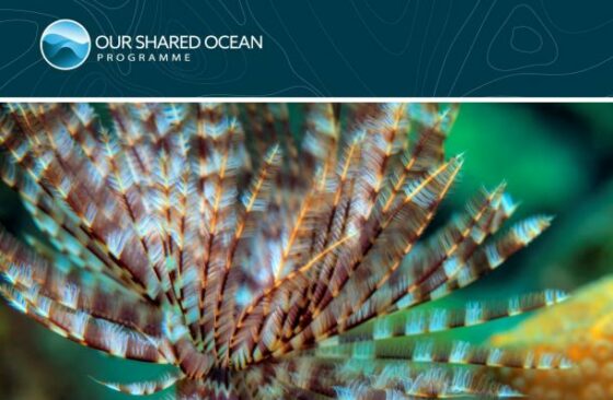 Our Shared Ocean – Mobility and Travel Grants 2023 – Opportunity Desk
