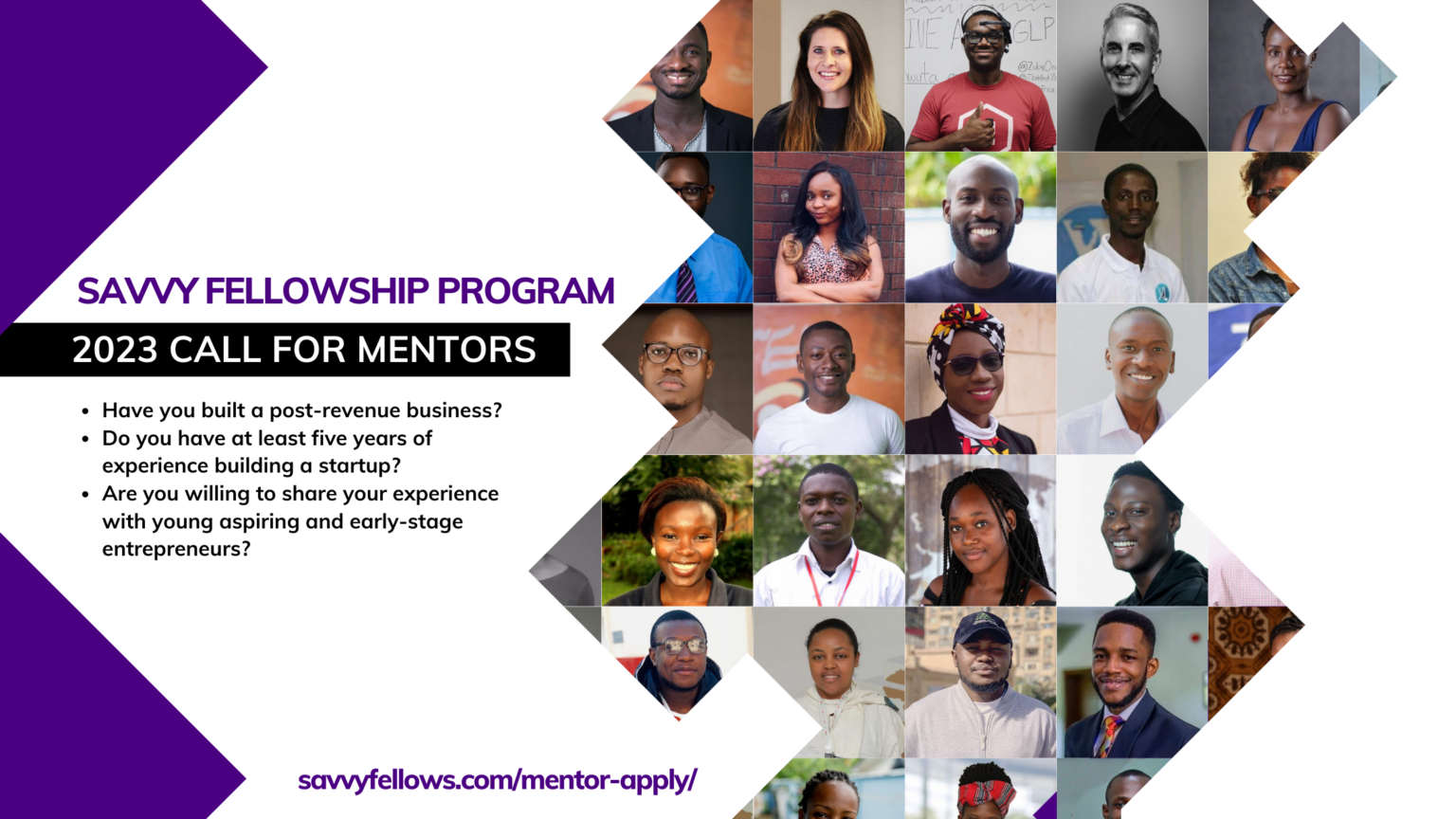 Call for Mentors: Savvy Global Fellowship Program Summer 2023 ...