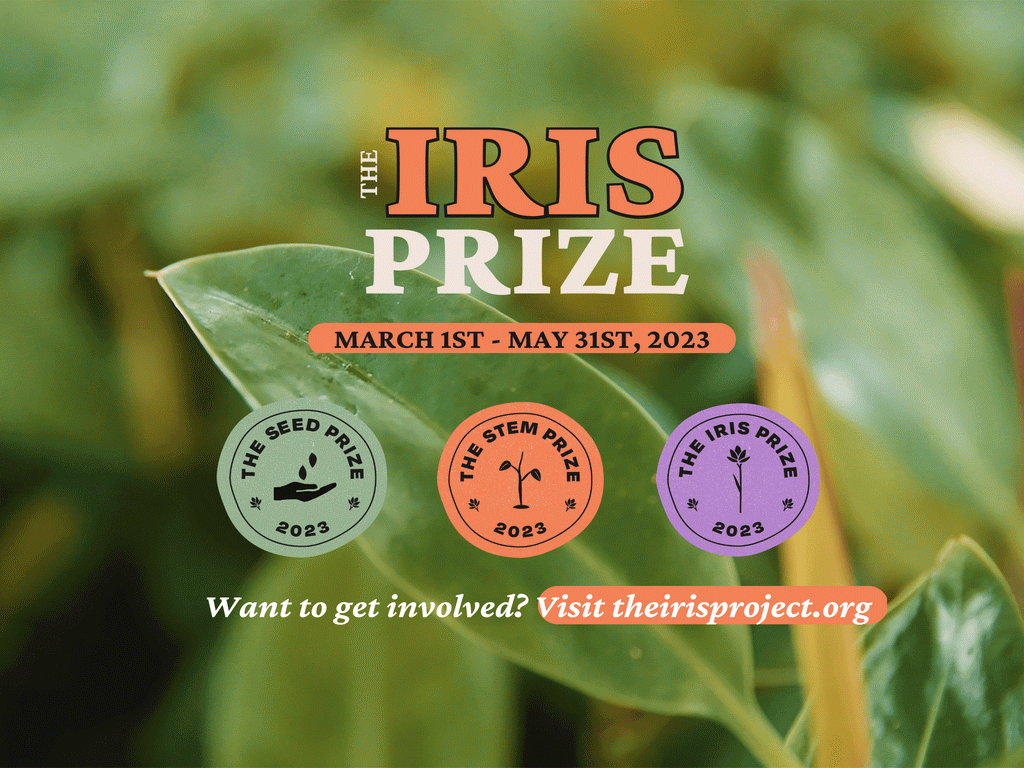 Iris Prize 2023 for Young People Accelerating Action to Protect & Restore Nature – Opportunity Desk