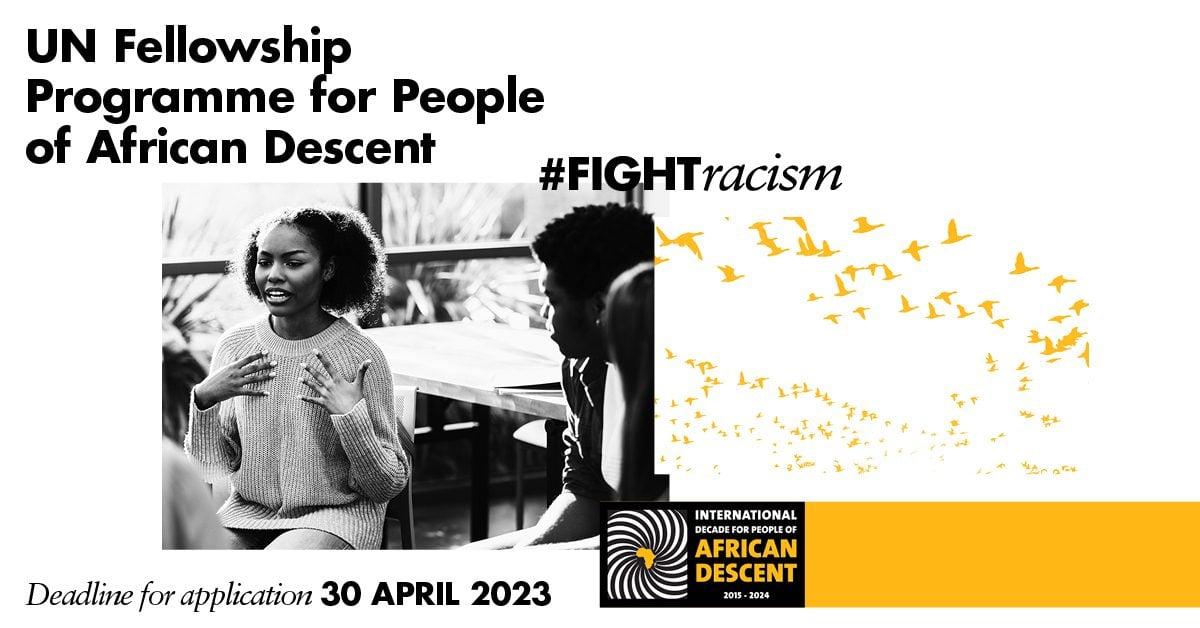 UN OHCHR Fellowship Programme 2023 for People of African Descent (Fully ...