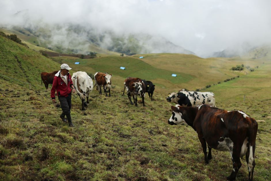Thomson Reuters Report on Food Security & Rural Development in Latin ...