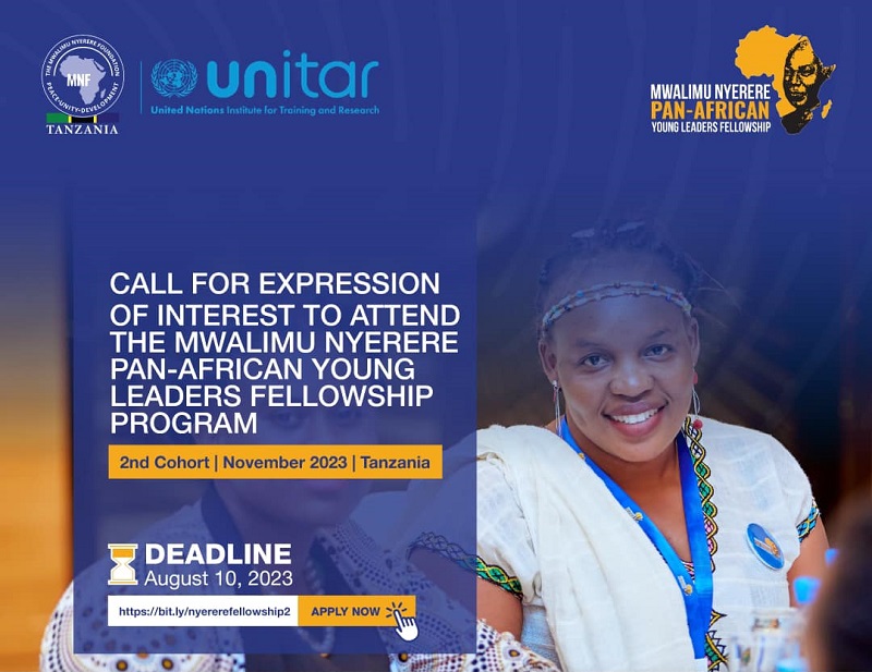 Mwalimu Nyerere Pan-African Young Leaders Fellowship Program 2023 ...