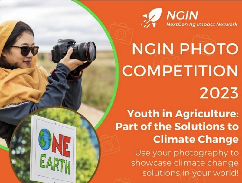 NGIN Photo Competition 2023 (Win up to €1,000) – Opportunity Desk