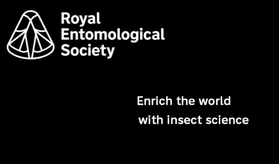 Royal Entomological Society Insect Photography Competition 2023 ...