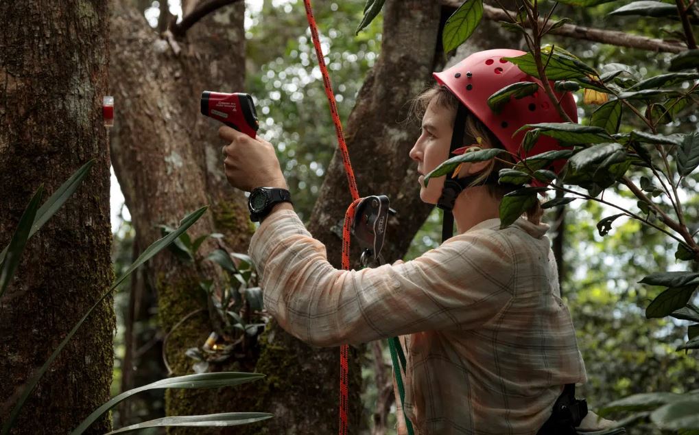 Explorers Club Discovery Expedition Grants 2024 (up to $40,000 ...