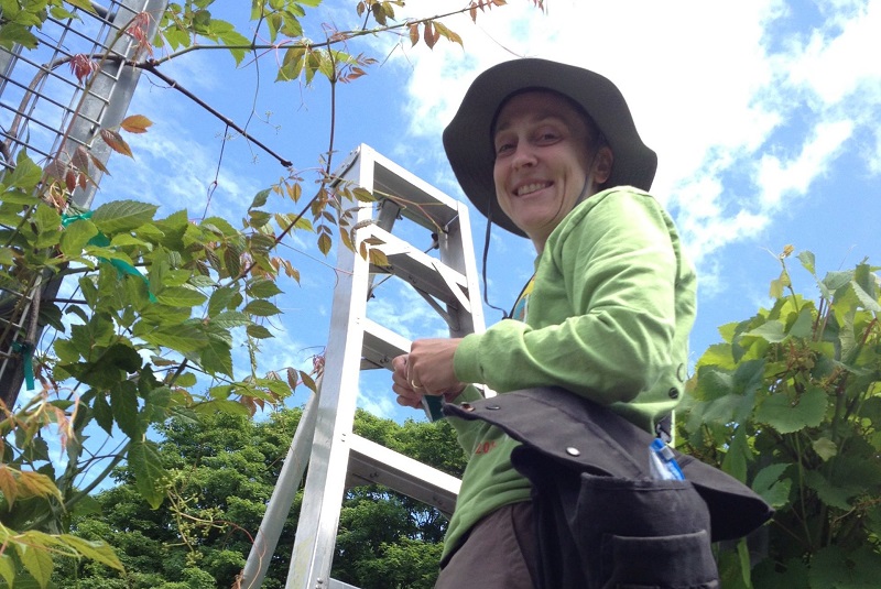 Katharine H. Putnam Fellowship in Plant Science 2024 ($83,000 salary ...