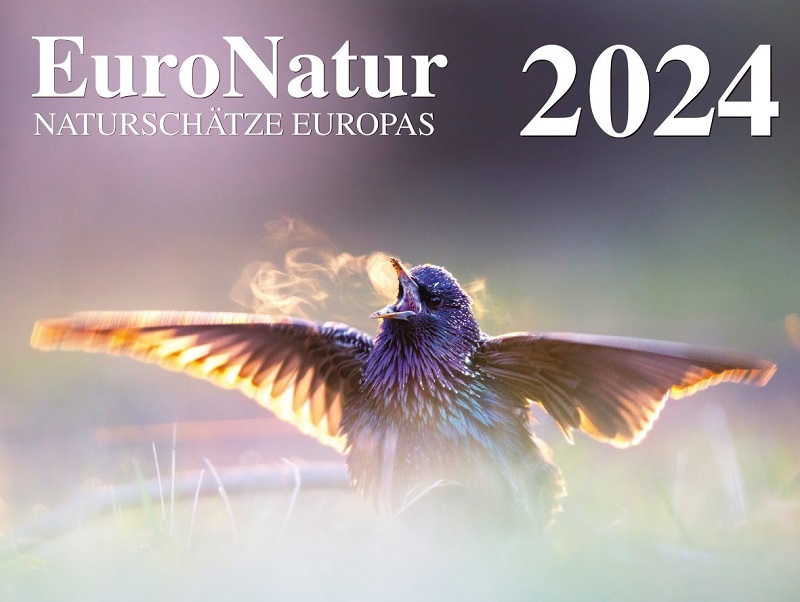 EuroNatur Photo Competition 2024 – “European Treasures of Nature” (up ...