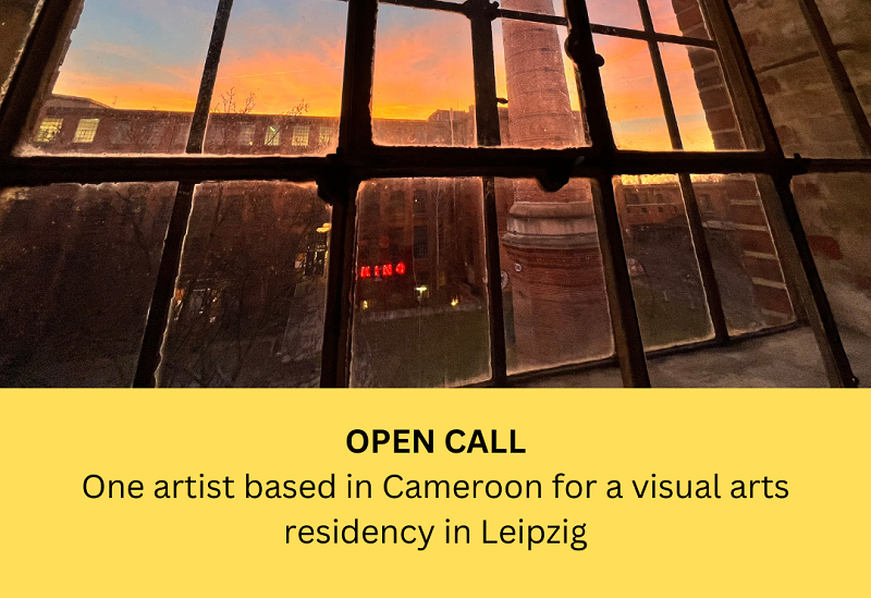 Goethe-Institut Cameroon & LIA-Leipzig International Art Programme 2024 ...