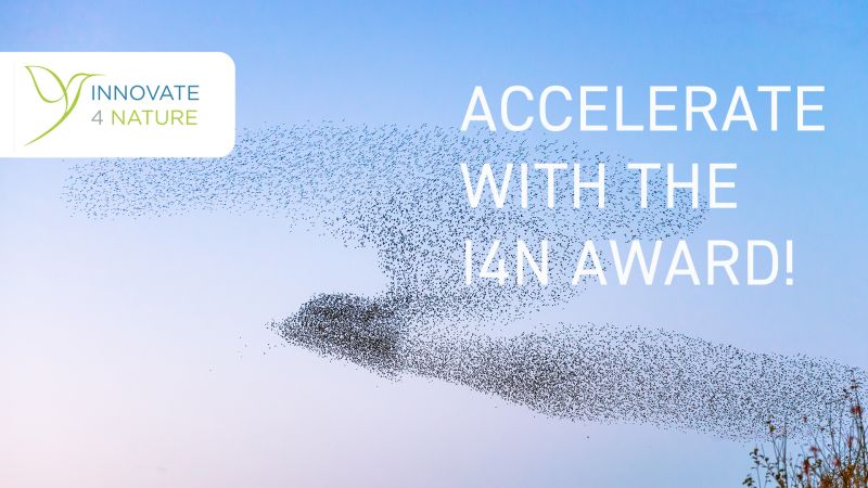 Innovate 4 Nature Award 2024 (up to CHF 100,000 in prizes) – Opportunity Desk
