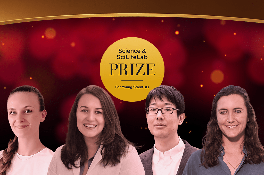 Science & SciLifeLab Prize for Young Scientists 2024 (up to $30,000 ...