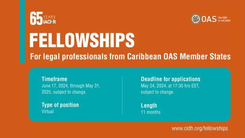 Inter-American Commission on Human Rights (IACHR) Fellowship 2024 ...