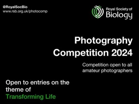 Royal Society of Biology Photography Competition 2024 – Opportunity Desk