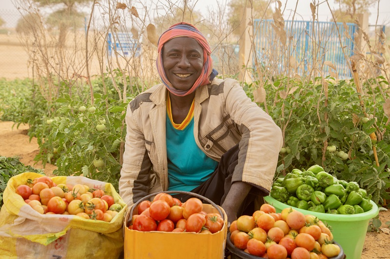 WFP Niger Innovation Challenge 2024: Energy for Food Security (up to ...