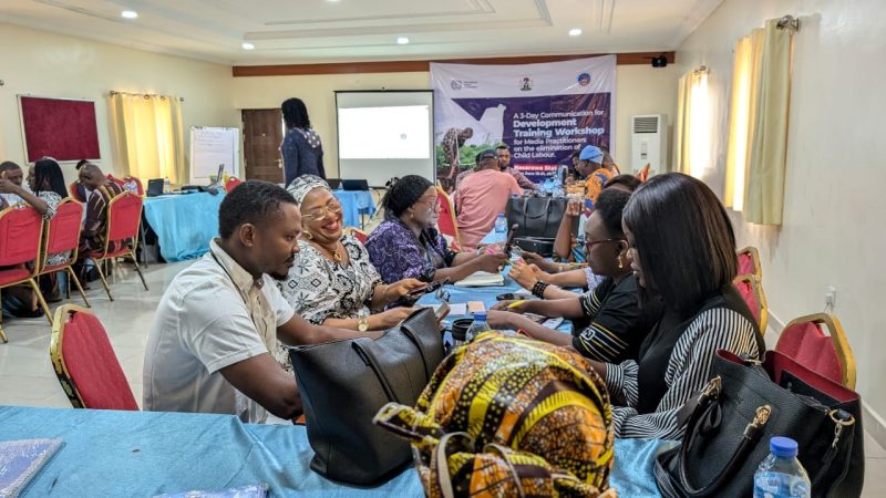 ACCEL Africa Project Training Program 2024 for Journalists ...