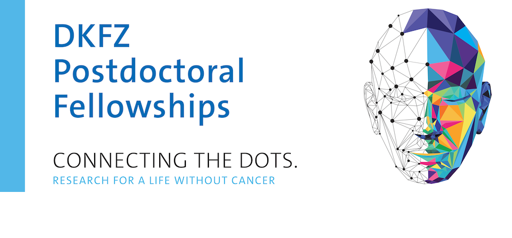 Call for Applications: DKFZ Postdoctoral Fellowships 2024 – Opportunity ...