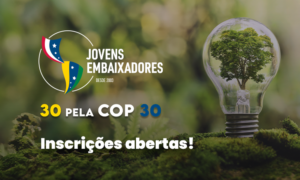 U.S. Embassy & Consulates in Brazil Youth Ambassadors Program 2025 ...