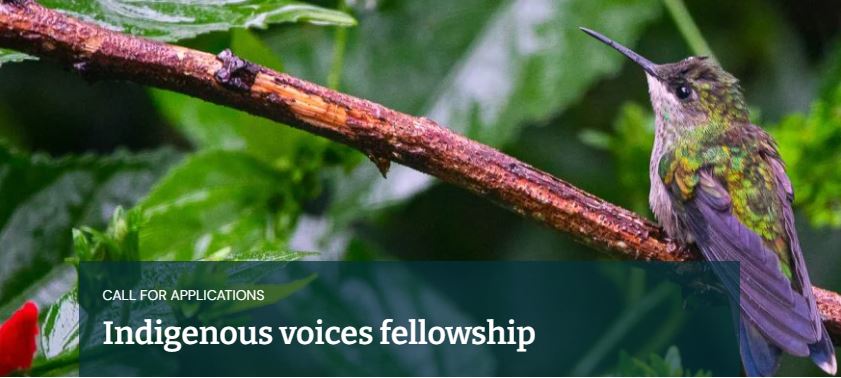 Dialogue Earth Indigenous Voices Fellowship 2025 (Funding available ...