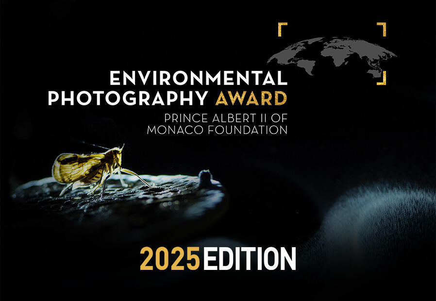 Prince Albert II of Monaco Foundation Environmental Photography Award ...