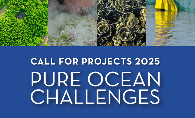 Pure Ocean Call for Projects 2025 (up to €40,000) – Opportunity Desk