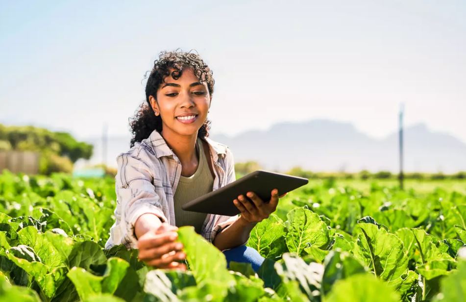 ACU Commonwealth Climate Resilience Challenge Grants 2025 (up to £3,000 ...