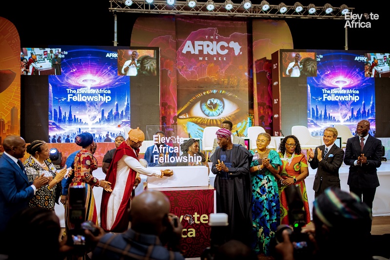 Elevate Africa Fellowship 2025 For Young Professionals Opportunity Desk