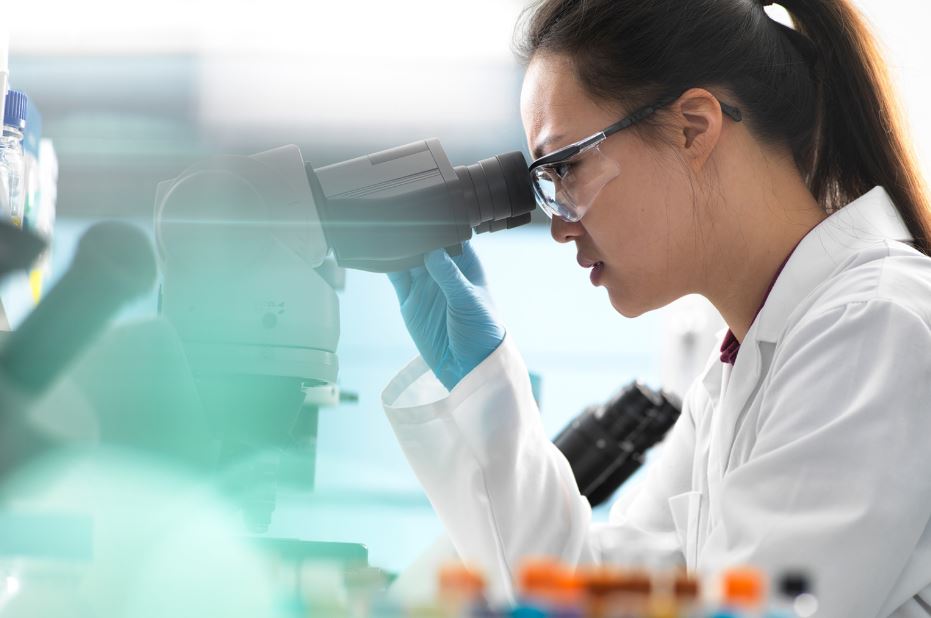 Swedish Institute (SI) Scholarship Pioneering Women in STEM 2025-2026 ...