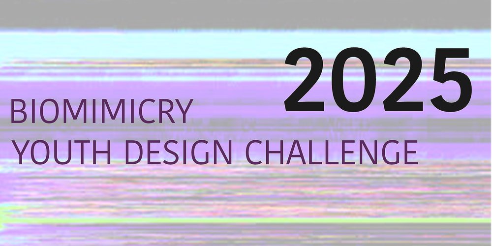 Biomimicry Youth Design Challenge 2025 – Opportunity Desk