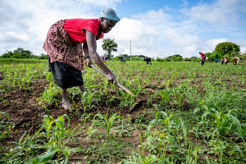 GRP Resilient Agriculture Innovations for Nature (RAIN) Challenge 2025 ...