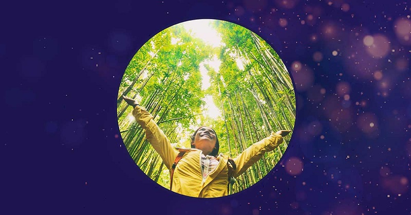 Society of Chemical Industry Sustainability Award 2025 – Opportunity Desk