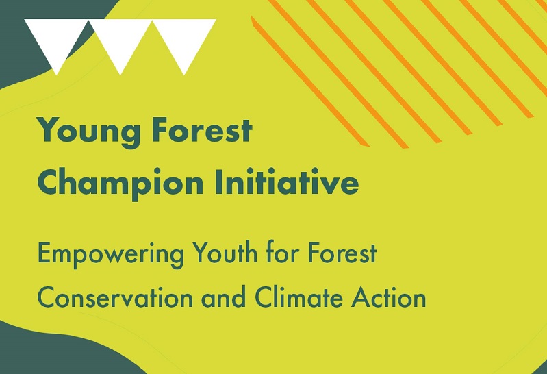 United Nations FAO Young Forest Champions Initiative 2025 – Opportunity ...