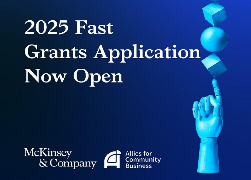 McKinsey & Company Fast Grants 2025 ($10,000 grant) – Opportunity Desk