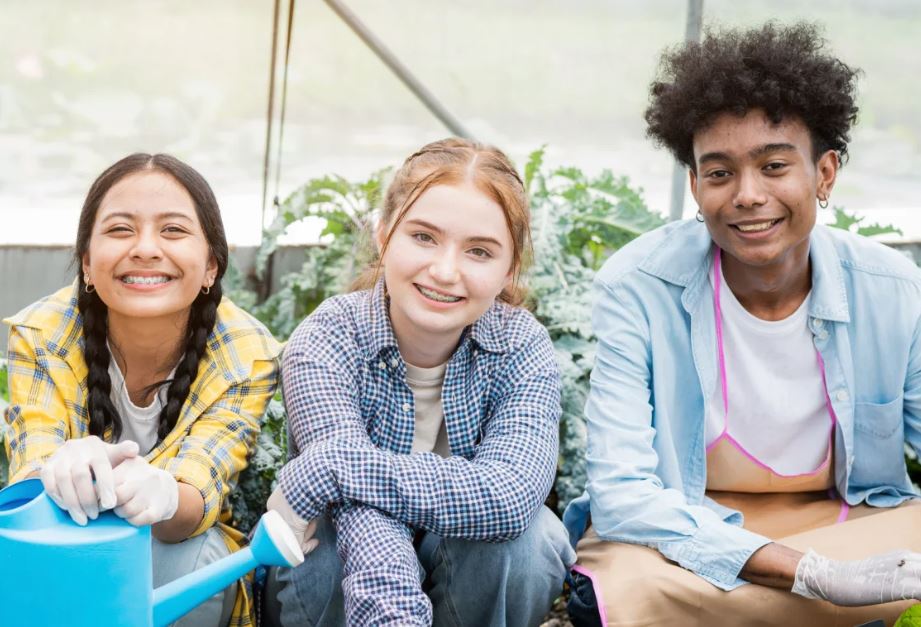 TELUS Canadian Community Board Grant 2025 (up to $20,000) – Opportunity ...