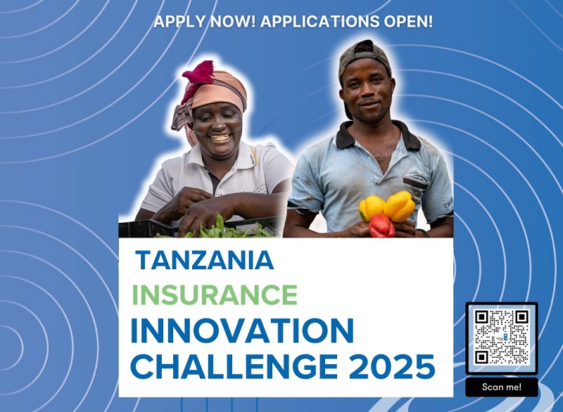 UNDP Tanzania Insurance Innovation Challenge (IIC) 2025 – Opportunity Desk