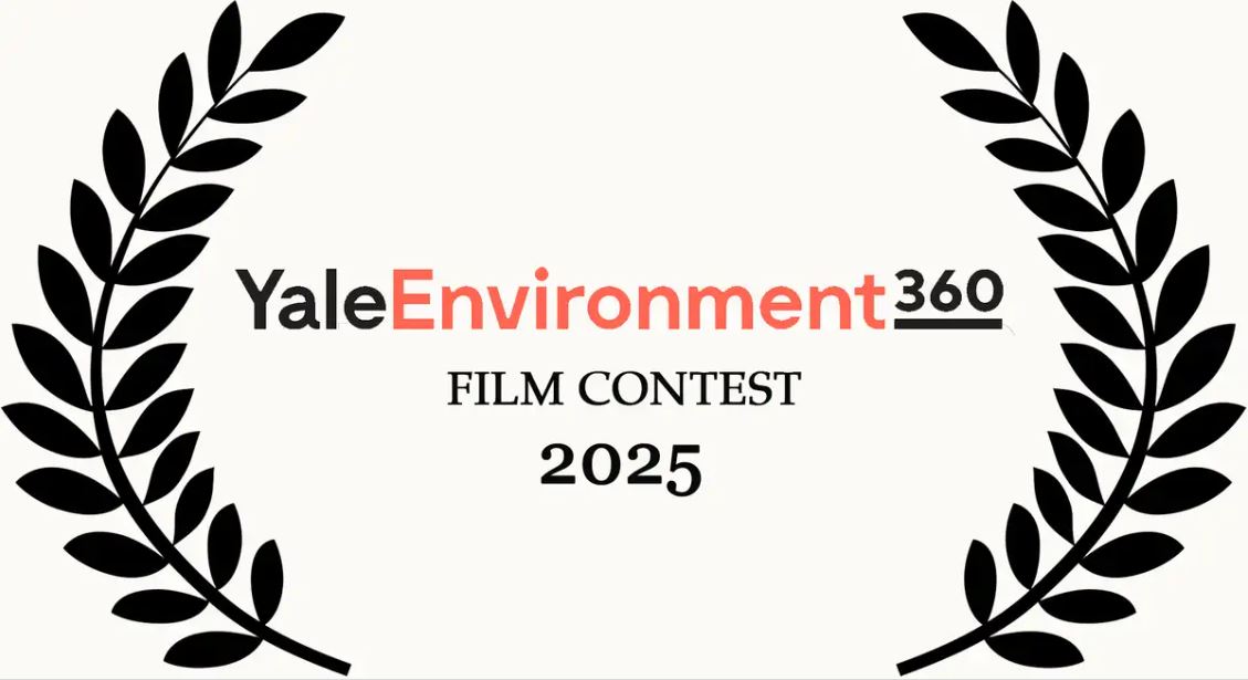 Yale Environment 360 Film Contest 2025 ($3,000 prize) – Opportunity Desk