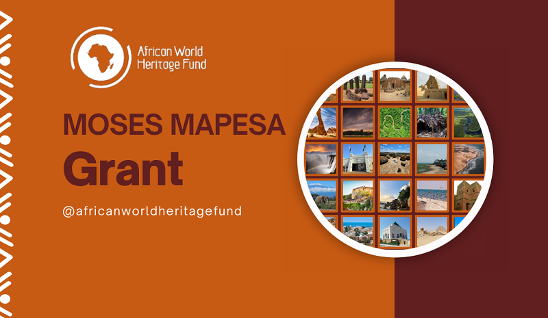 AWHF Moses Mapesa Education and Research Grant 2025 (up to $5,000 ...