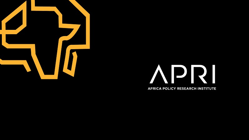 Africa Policy Research Institute (APRI) Young Talent Program 2025 ...