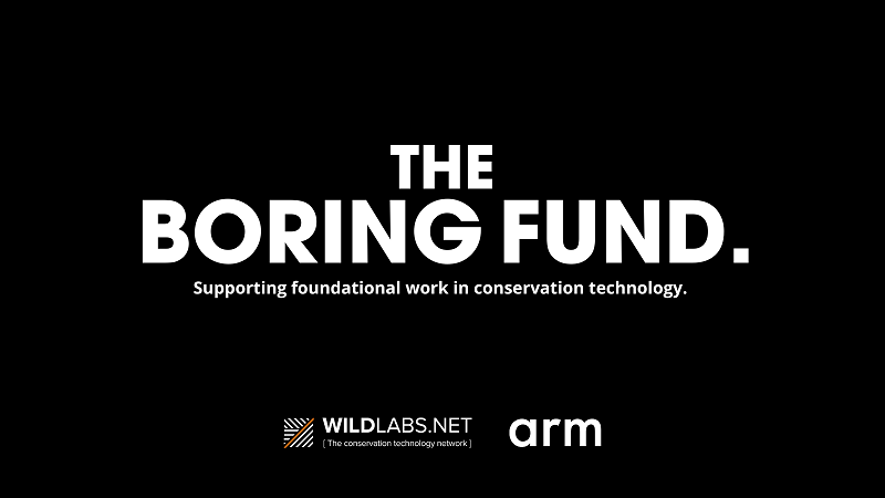 Call for Applications: Boring Fund 2025 ($80,000 in grants ...