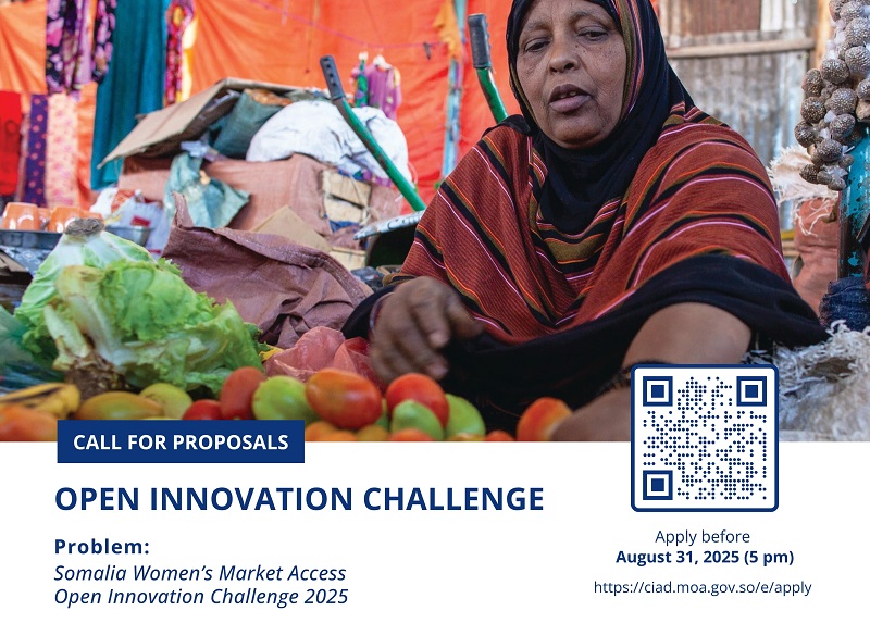 Call for Proposals: IFAD Somalia Women’s Market Access Innovation ...
