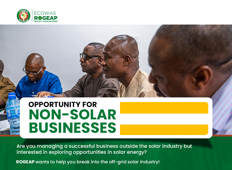 ROGEAP Call for Applications for Non-Solar Businesses 2025 ...