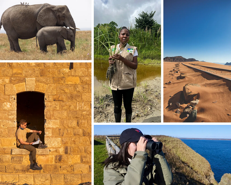 Explorers Club Pathfinder Grant 2025 (up to $5,000) – Opportunity Desk