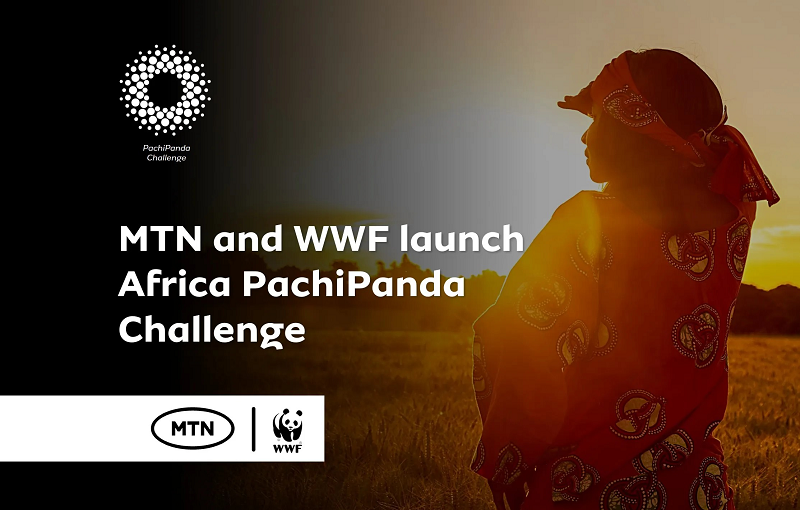 MTN/WWF Africa PachiPanda Challenge 2025 ($5,000 prize) – Opportunity Desk