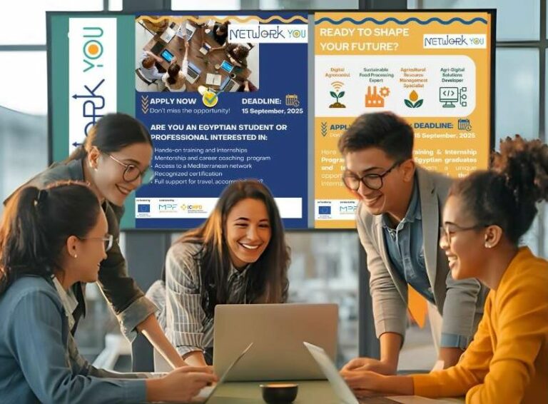 Network YOU International Training and Internship Program 2025 (Fully ...