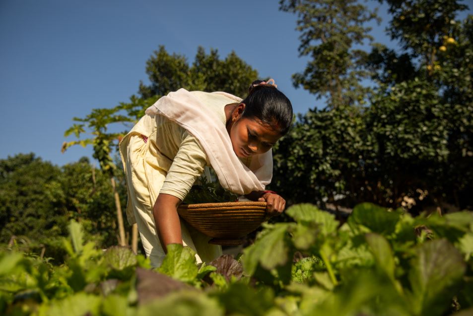 WFP Innovation Accelerator x Adaptation Fund Climate Innovation Accelerator (AFCIA) Asia Cohort ...