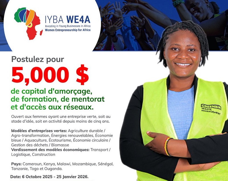IYBA- WE4A Entrepreneurship Programme 2026 (up to $5,000) – Opportunity ...