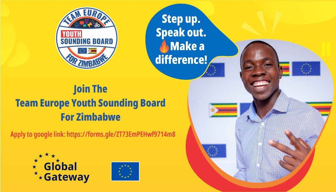 Join the 3rd Team Europe Youth Sounding Board for Zimbabwe 2026-2028 ...